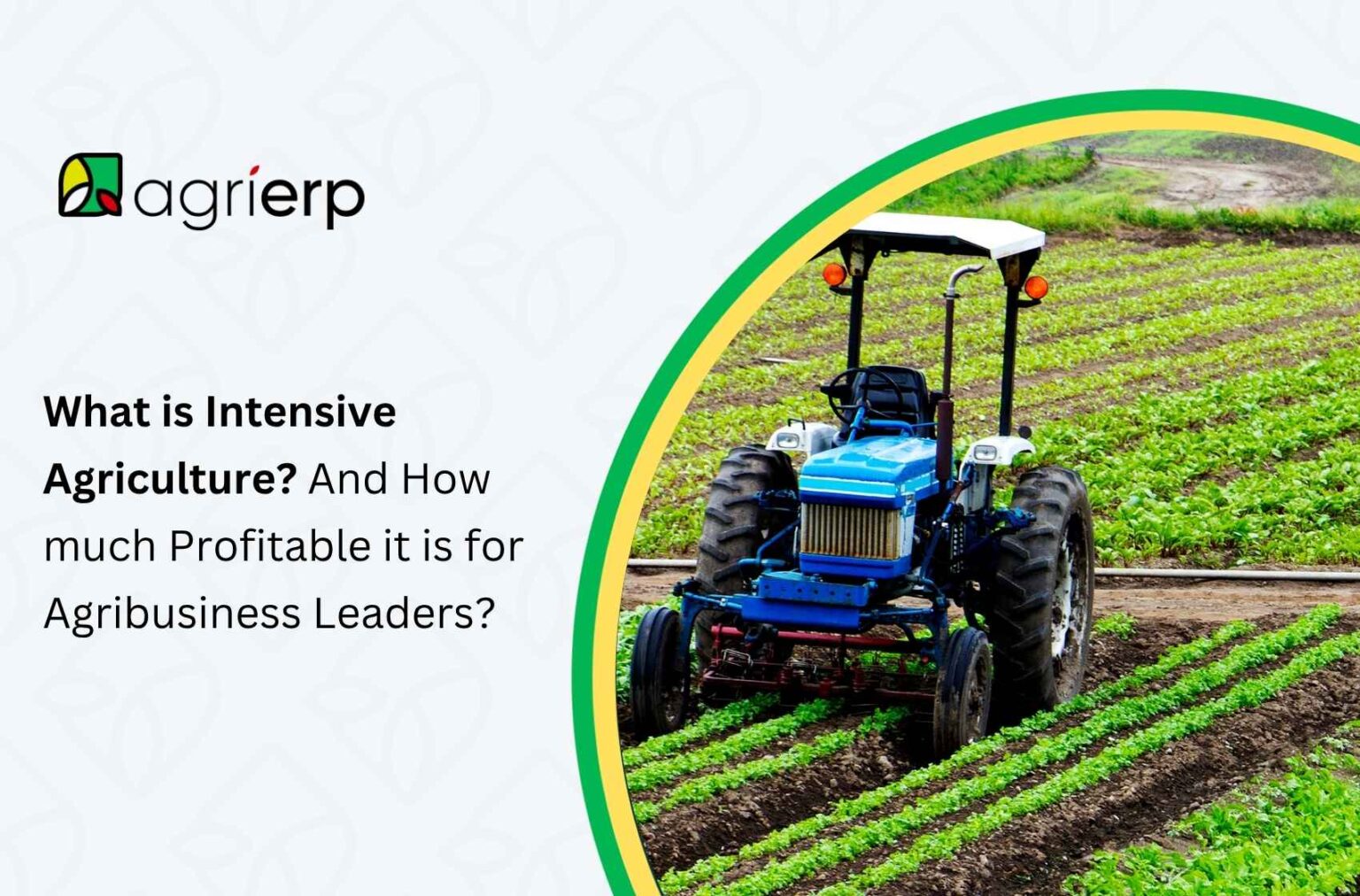 Why Is Agriculture Important: Benefits and Its Role Explained