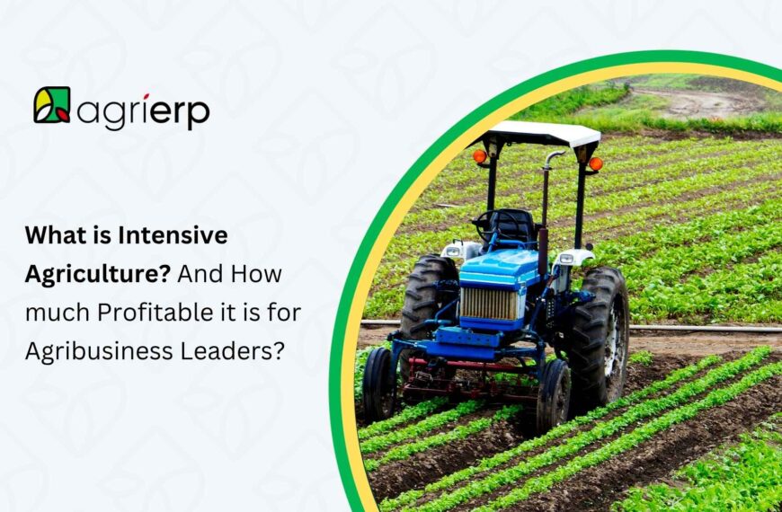 Top 10 Issues in Agriculture | Challenges and Solutions for Farmers