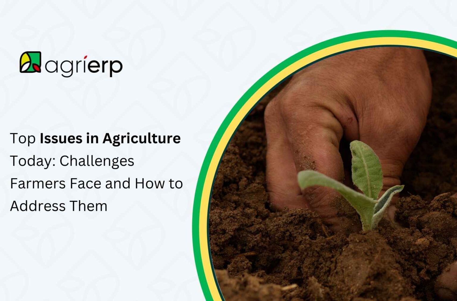 What is Commercial Agriculture: Types and Features