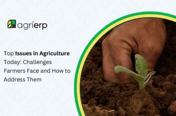 Top 10 Issues in Agriculture | Challenges and Solutions for Farmers