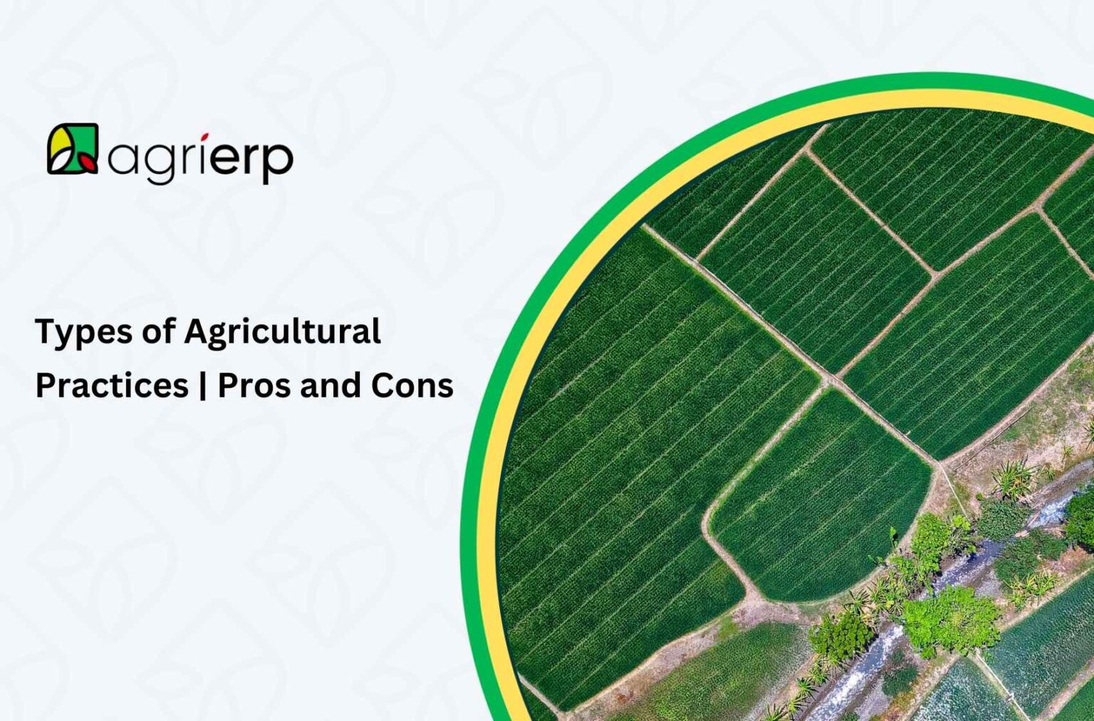 Types of Agricultural Practices | Pros & Cons Guide 2025