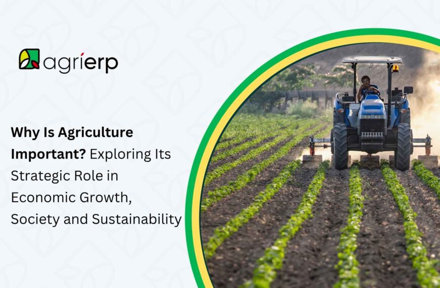 Why Is Agriculture Important: Benefits and Its Role Explained
