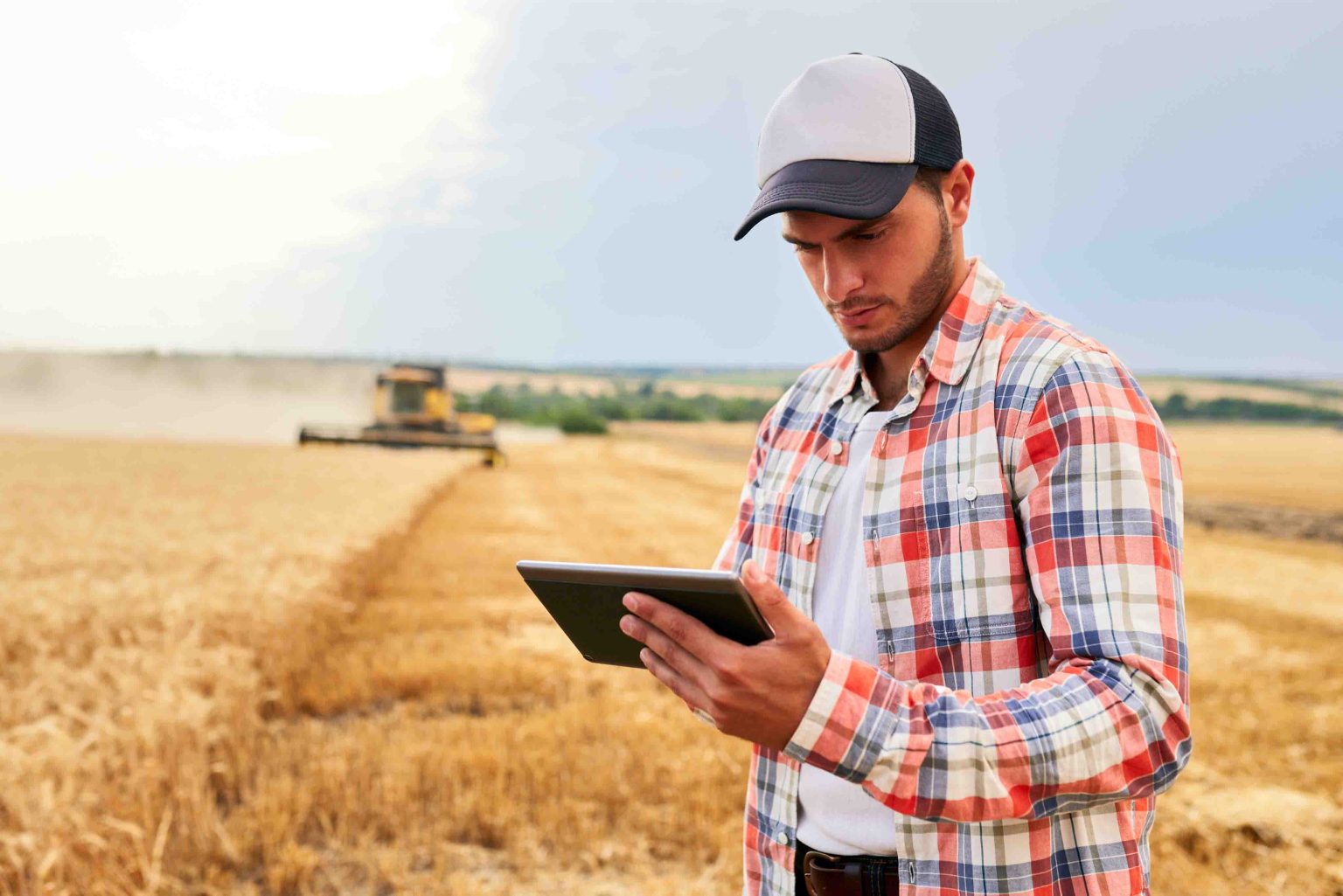 10 Features To Look For In Yield Management Software Agrierp Blog