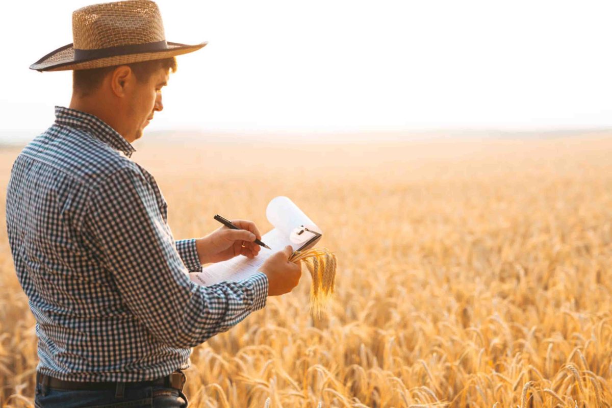 Farm Accounting 101: The Basics You Need to Know - AgriERP Blog