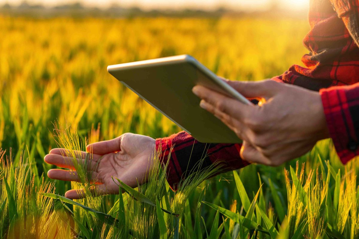The Benefits of Crop Management Software for Farmers - AgriERP Blog