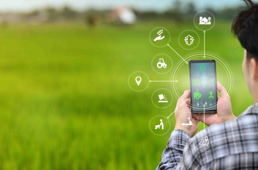 The Future of Farm Management: How AI Is Revolutionizing Agriculture ...