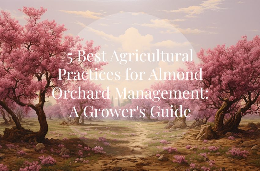 5 Best Agricultural Practices for Almond Orchard Management: A Grower's ...