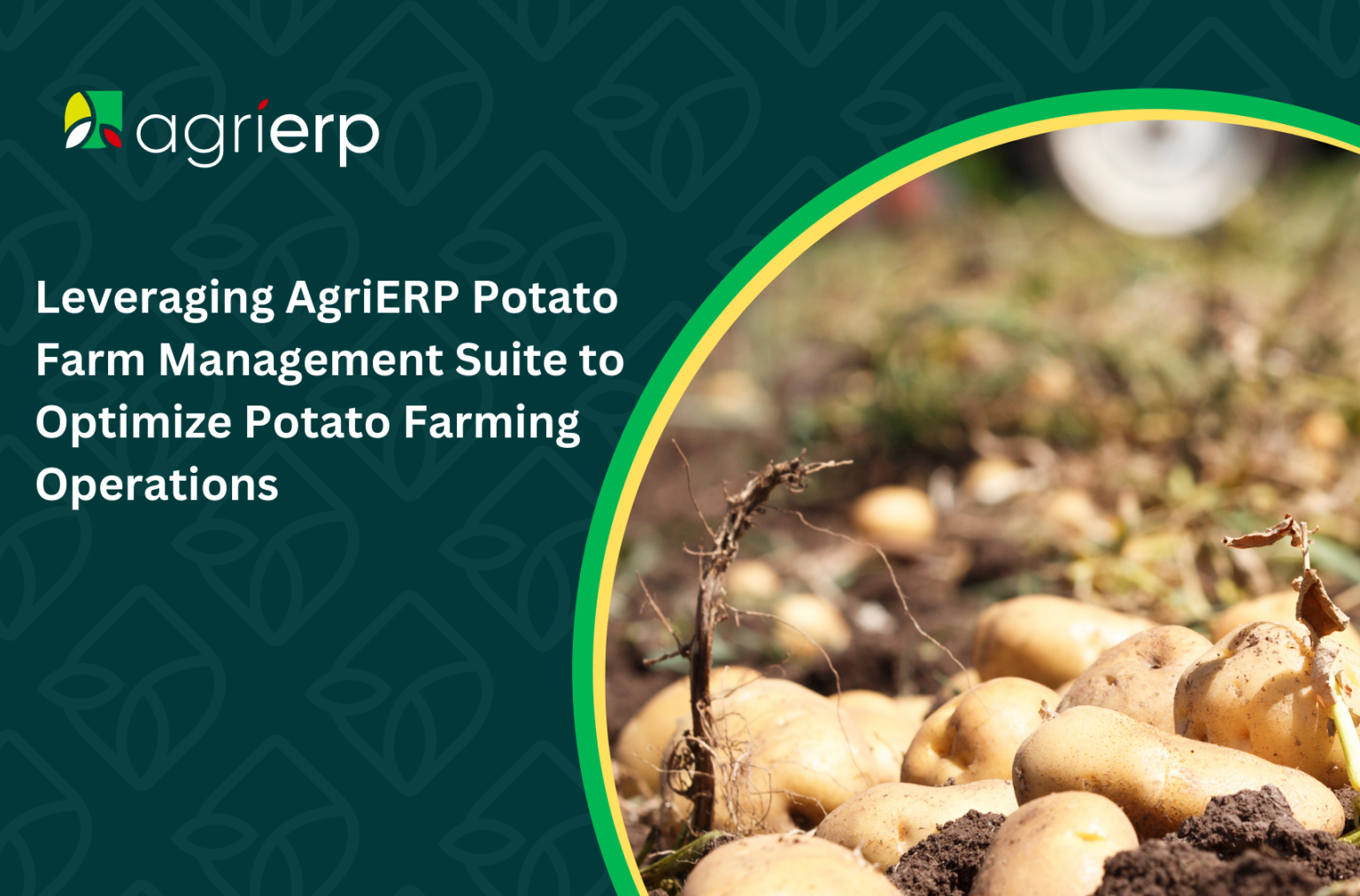 Leveraging AgriERP Potato Farm Management Suite to Optimize Potato ...