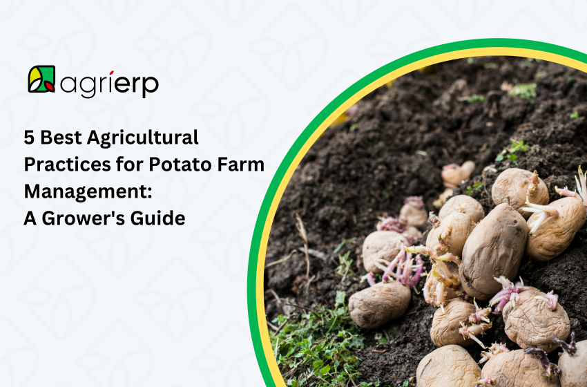 5 Best Agricultural Practices for Potato Farm Management: A Grower's ...