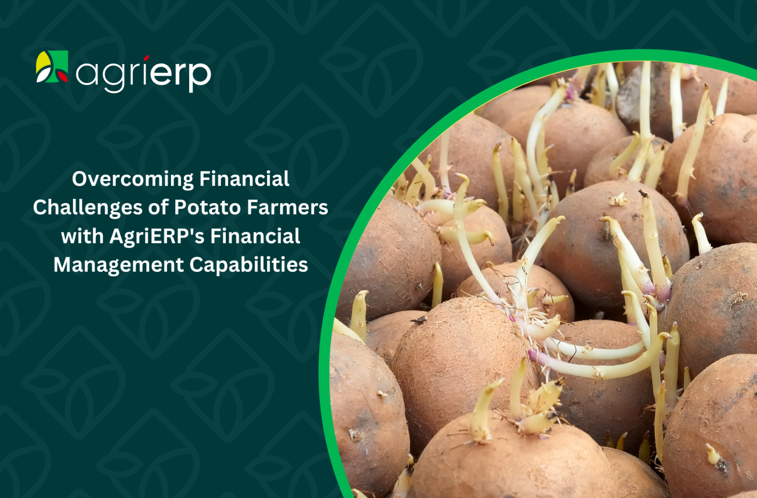 Overcoming Financial Challenges of Potato Farmers with AgriERP's Financial Management ...