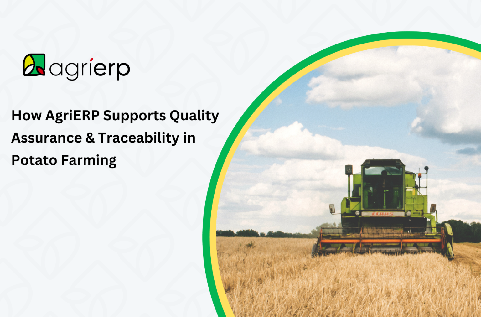How AgriERP Supports Quality Assurance & Traceability in Potato Farming - AgriERP Blog
