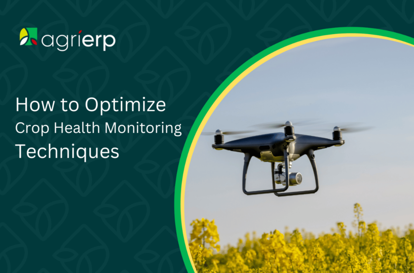 Optimize Crop Health Monitoring Techniques to Boost Yield