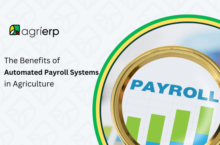 The Benefits of Automated Payroll Systems in Agriculture - AgriERP Blog