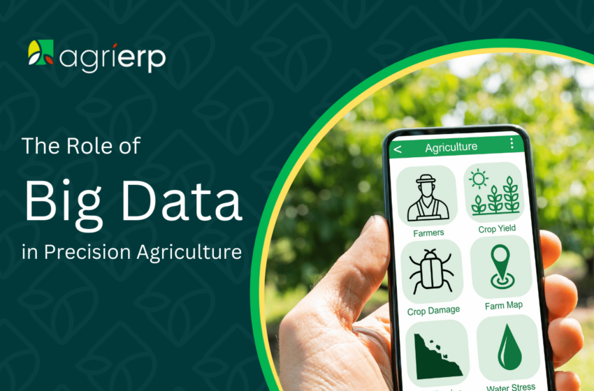 Transforming Modern Farming by Big Data in Agriculture