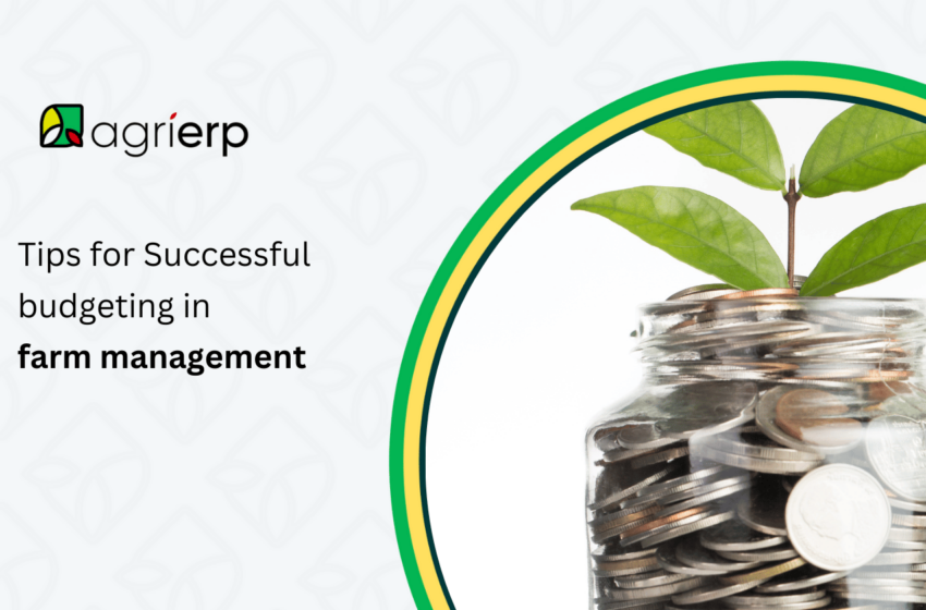 Tips for Successful budgeting in farm management