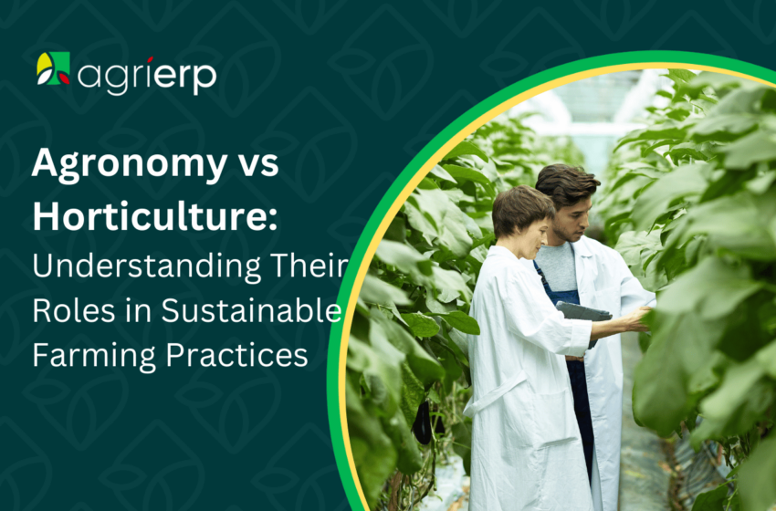 Agronomy vs Horticulture: Key Roles in Sustainable Farming
