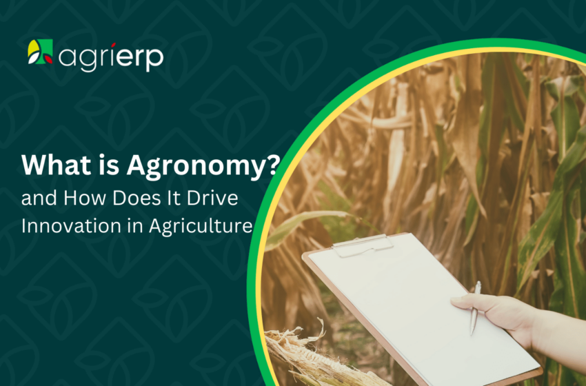 What is Agronomy and How Does It Drive Innovation in Agriculture ...