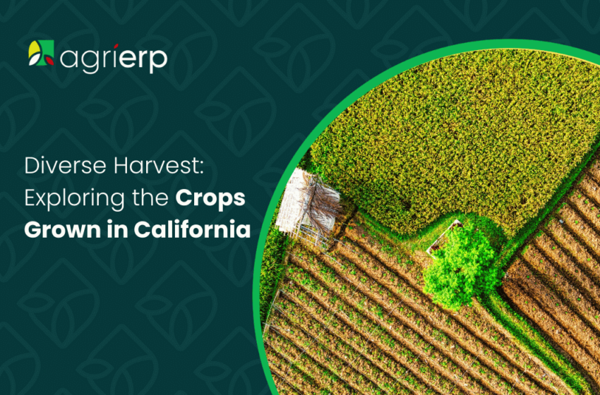 Twig The Diversity of Crops Grown in California