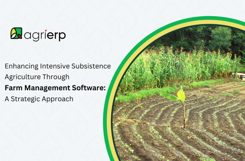 Spur Intensive Subsistence Agriculture by Management Software