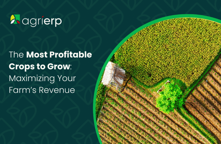 Financial Risk Management in Agriculture