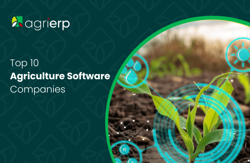 Optimize Crop Health Monitoring Techniques to Boost Yield