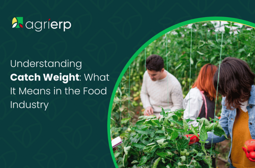 Catching Catch Weight, A Guide for the Food Industry