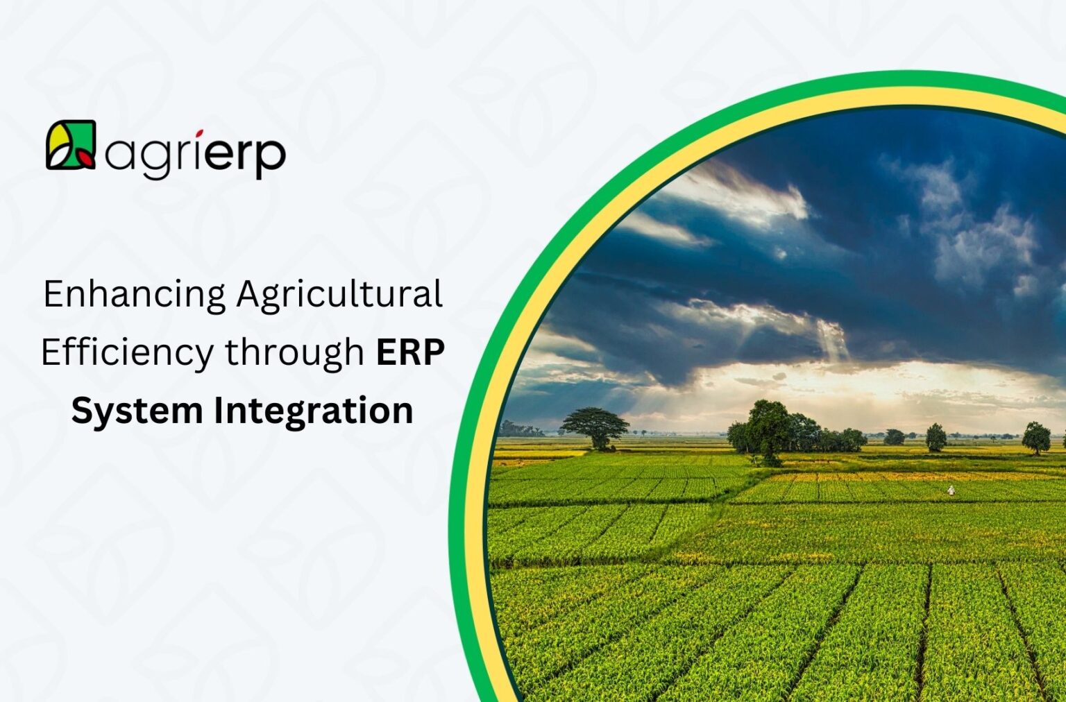 What is commercial agriculture? Types & Features of Commercial Farming ...