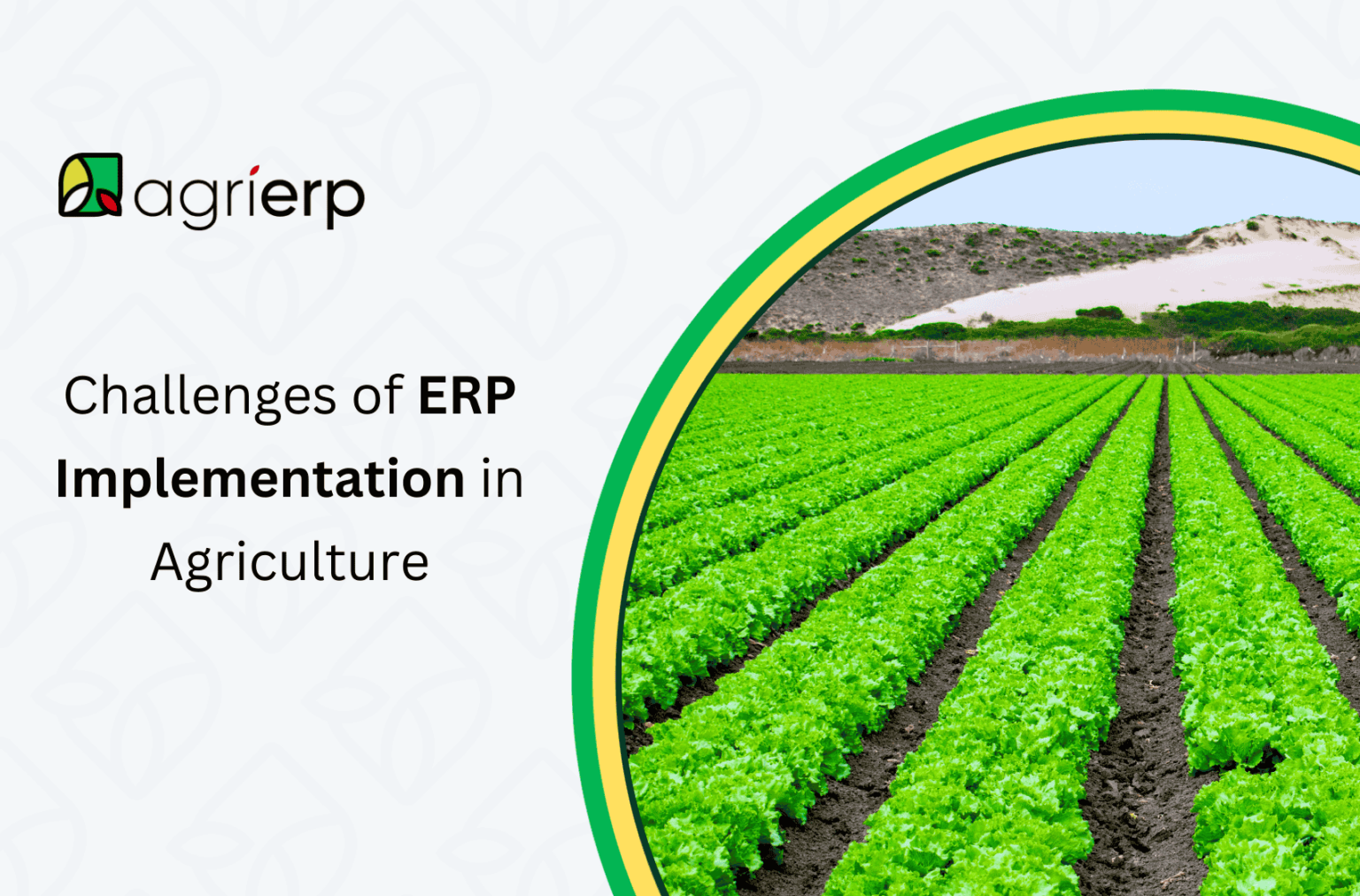 Challenges and Solutions of ERP Implementation in Agriculture