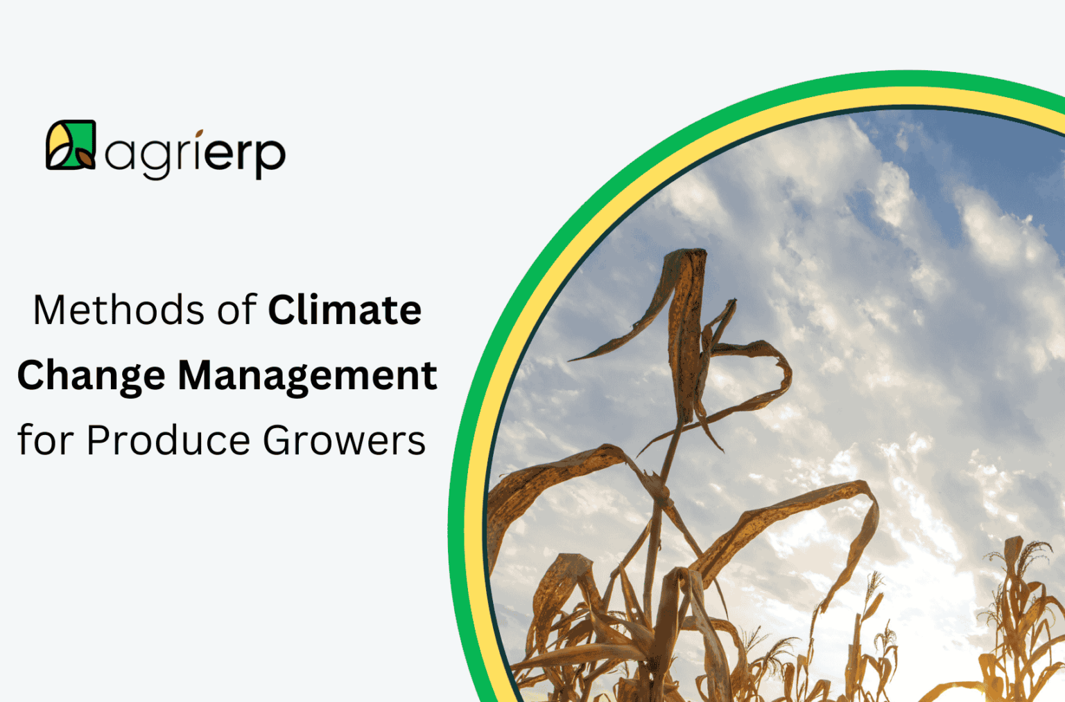 Methods of Climate Change Management for Produce Growers