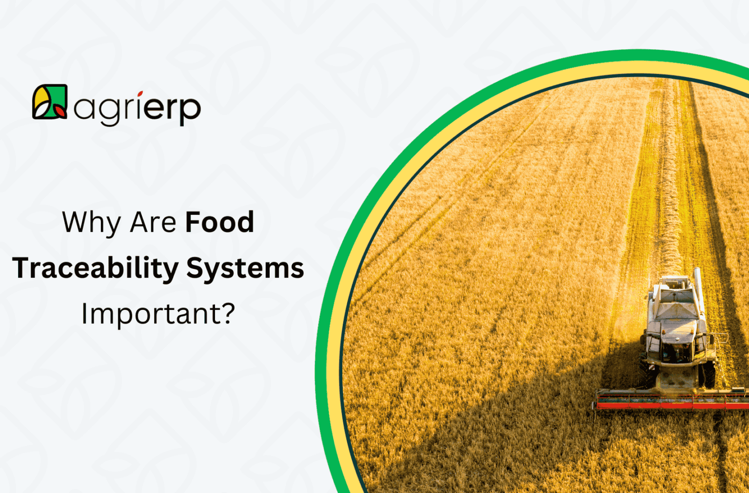 Why Are Food Traceability Systems Important?