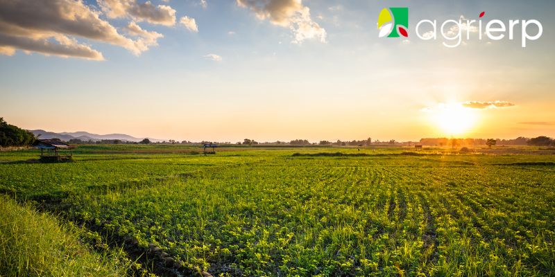 How Integrated Tech Is Boosting Farm Profitability and Sustainability