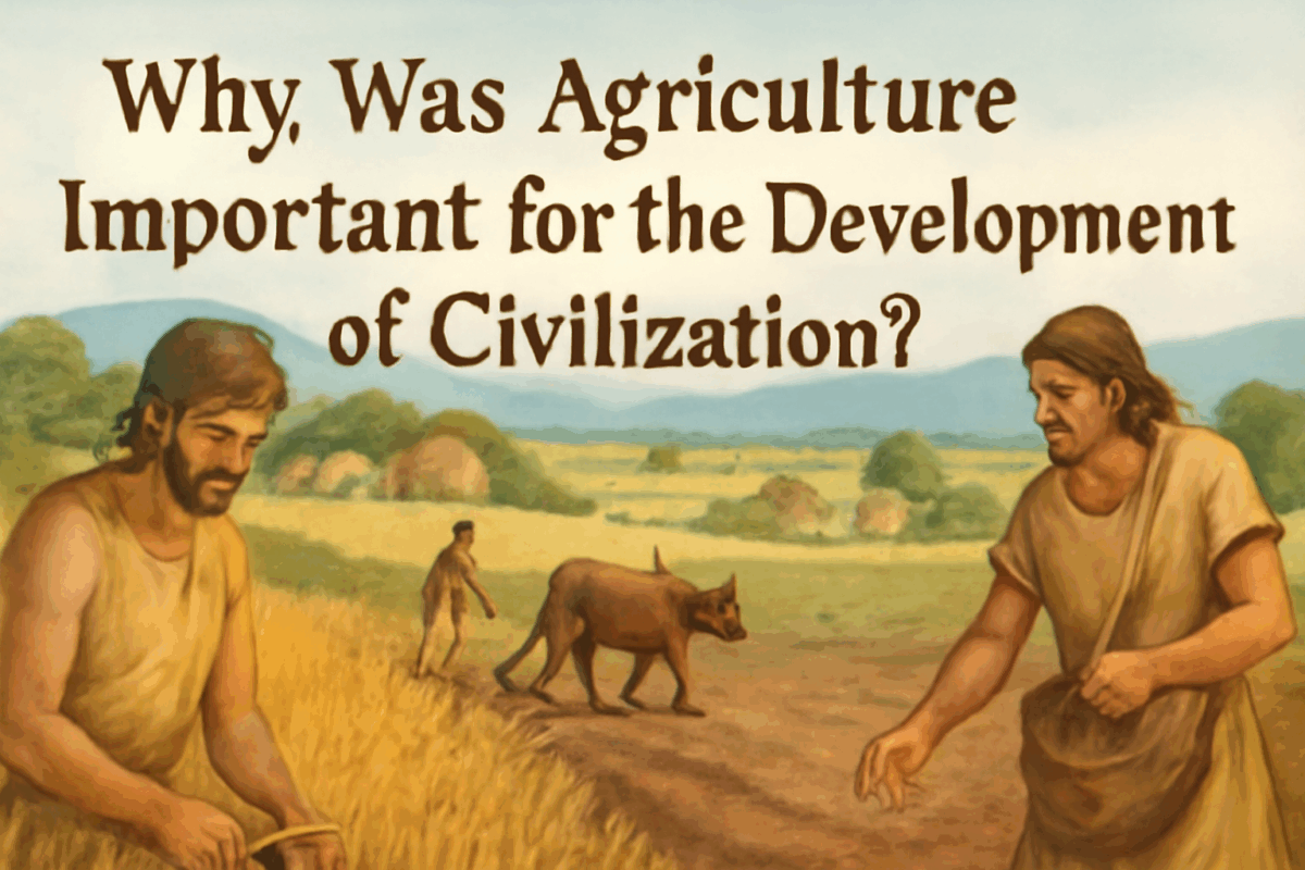 Why Is Agriculture Important: Benefits and Its Role Explained