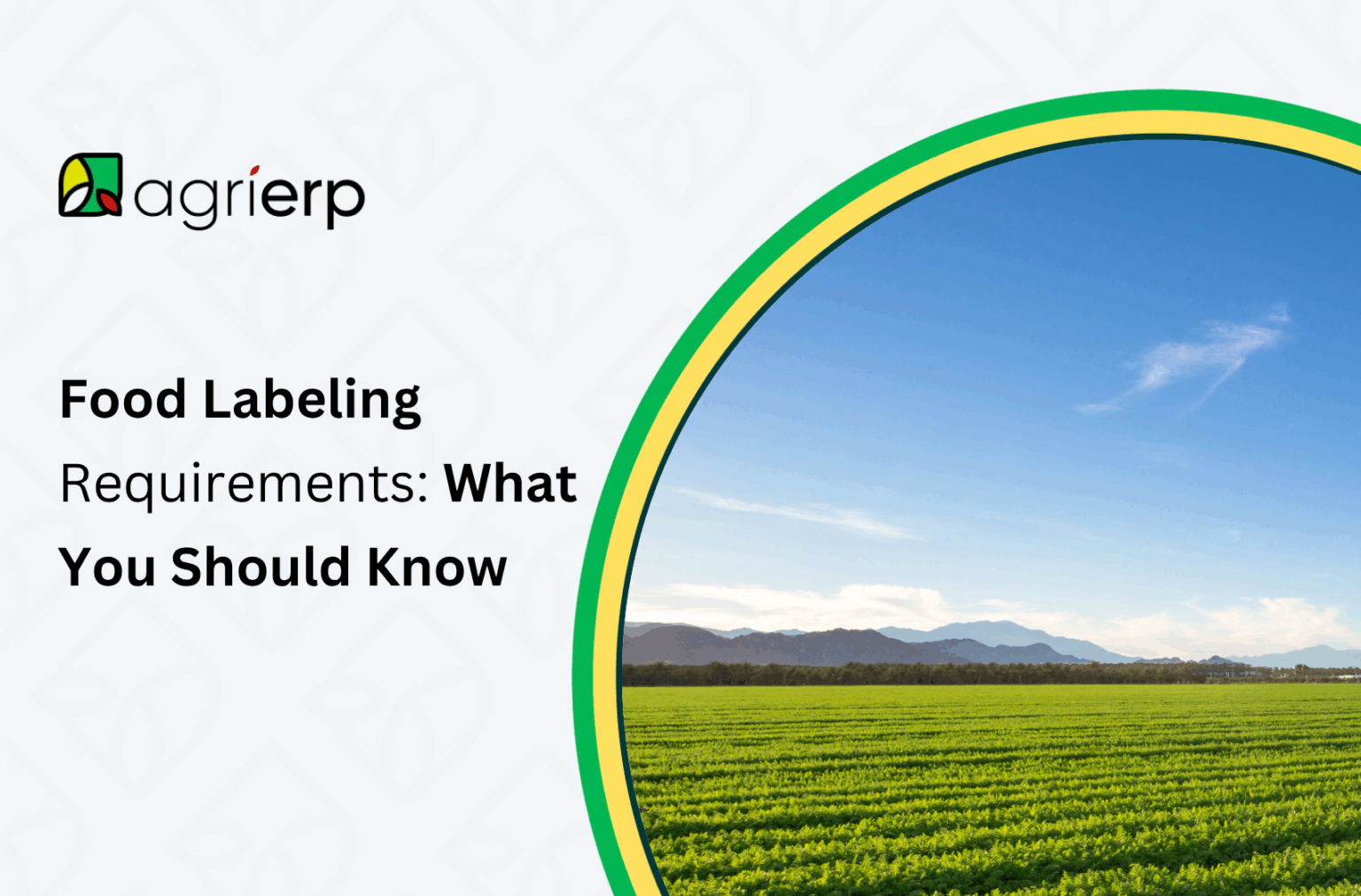 Food Labeling Requirements: What You Should Know