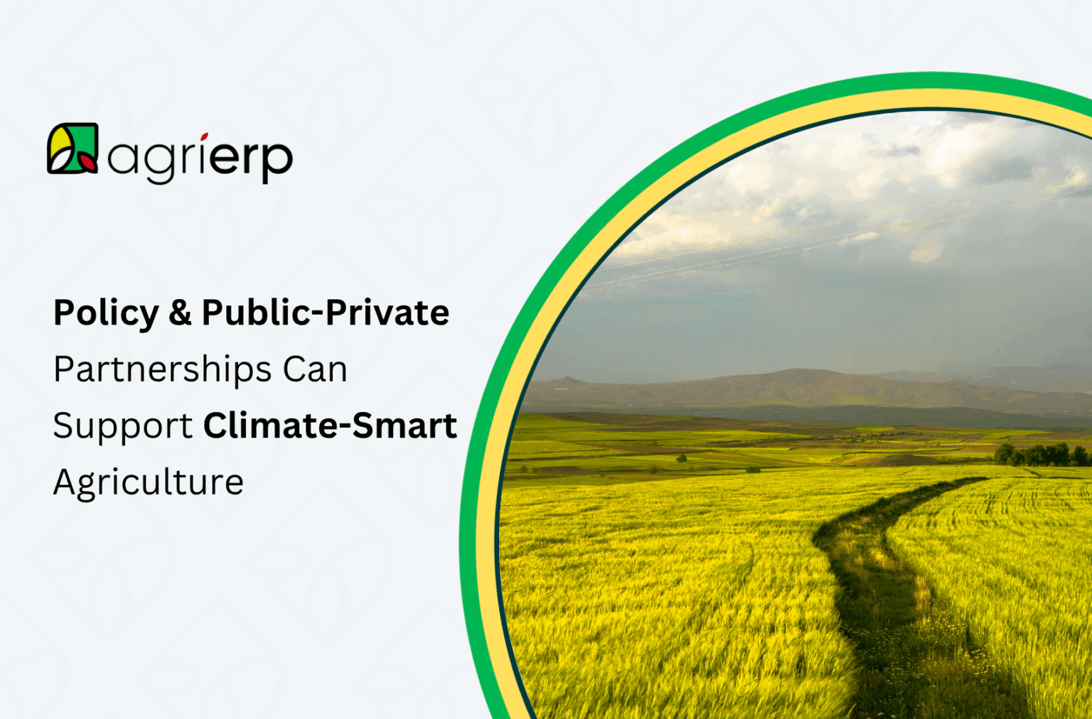 What is Commercial Agriculture: Types and Features