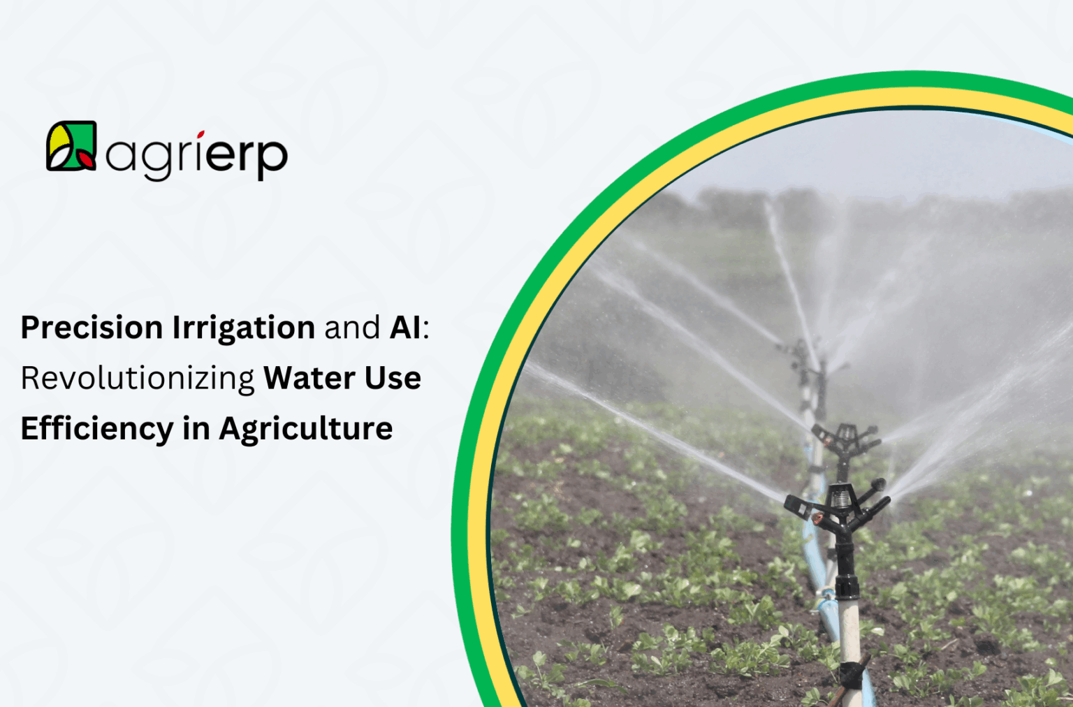 Why Is Agriculture Important: Benefits and Its Role Explained