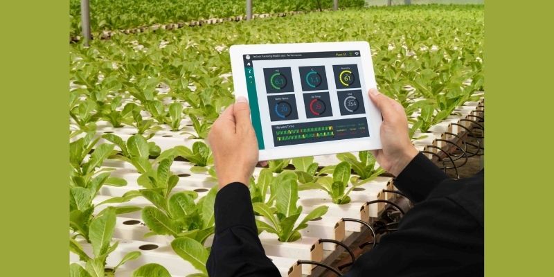 Top Agriculture Software Companies to Boost Farm Management