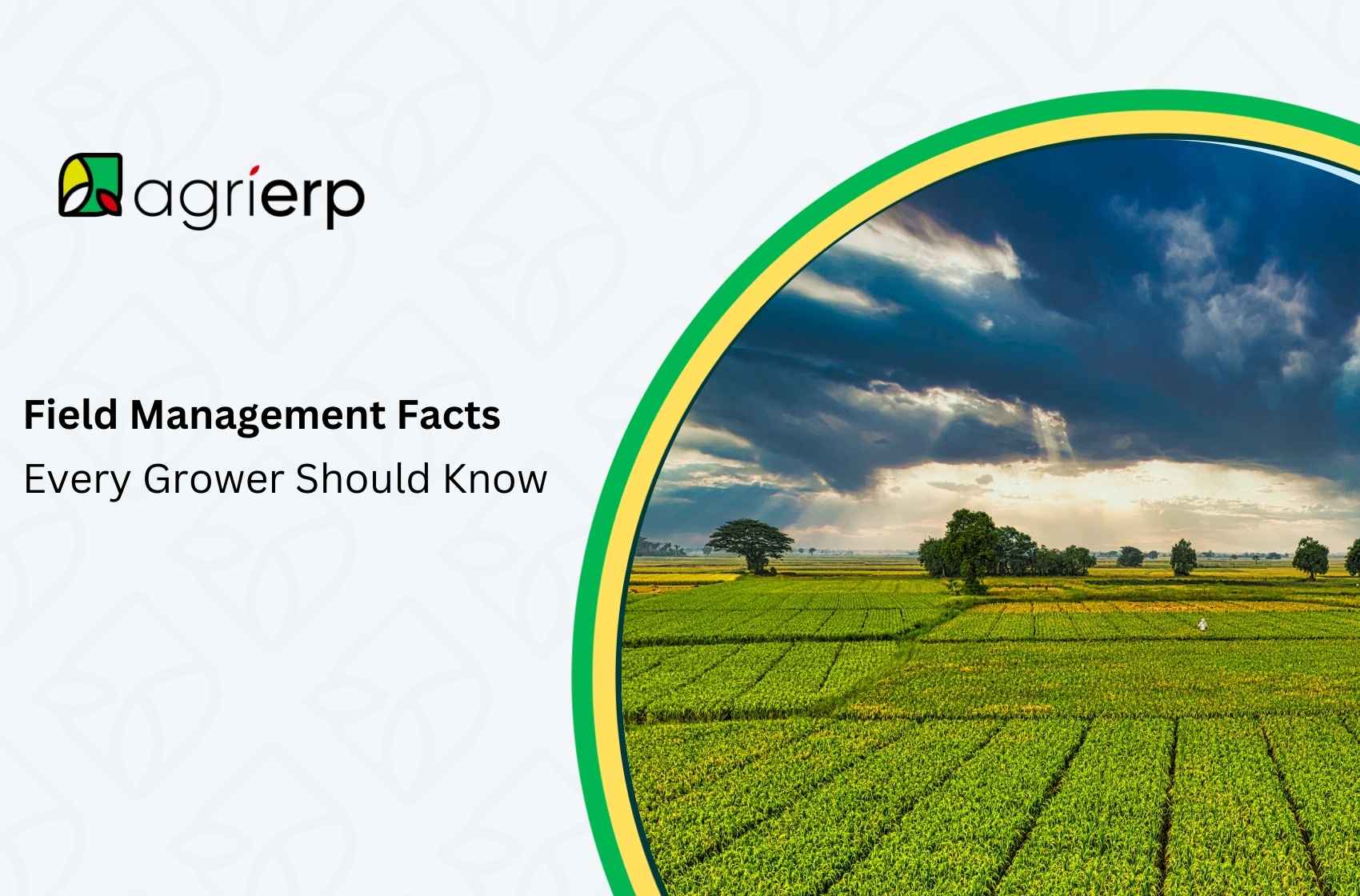 Field Management Facts Every Grower Should Know