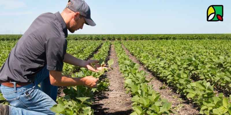 Ways to Make Your Field Management Less Stressful and More Efficient