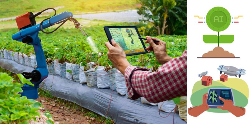 Discover Farm Management AI Use Cases That Drive Innovation
