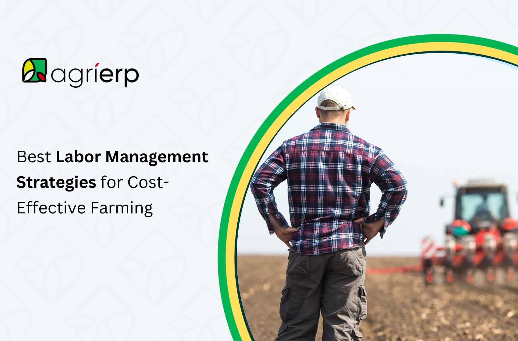 10 Best Labor Management Strategies for Cost-Effective Farming