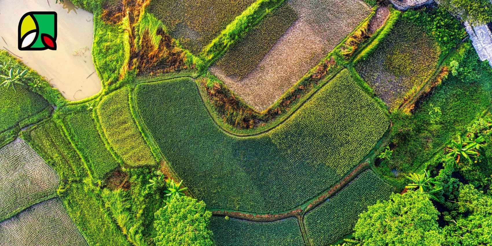 Types of Agricultural Practices | Pros & Cons Guide 2025