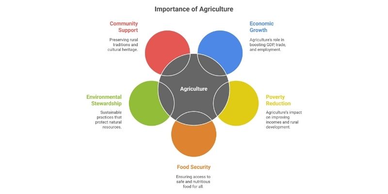 Why Is Agriculture Important: Benefits and Its Role Explained