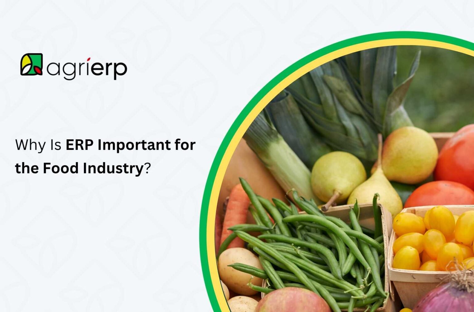 Why Is ERP Important for the Food Industry? - AgriERP