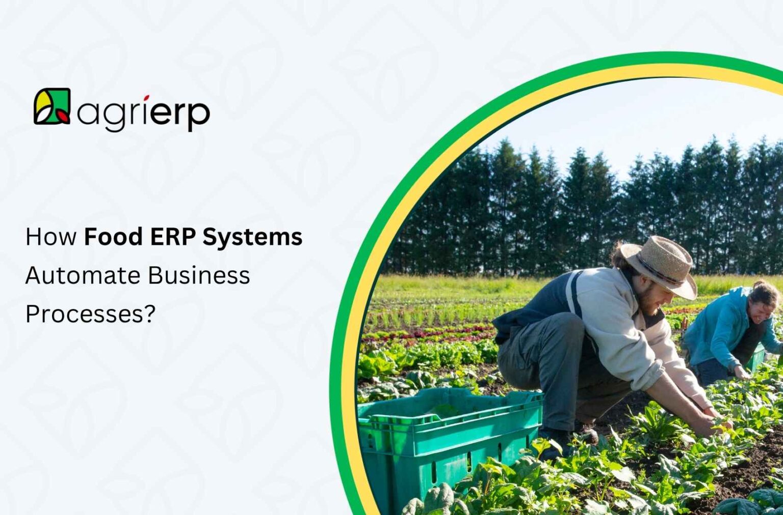 How Food ERP Systems Automate Business Processes?