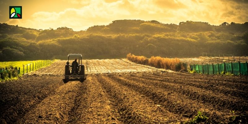 Navigating US Agricultural Regulations for Compliance