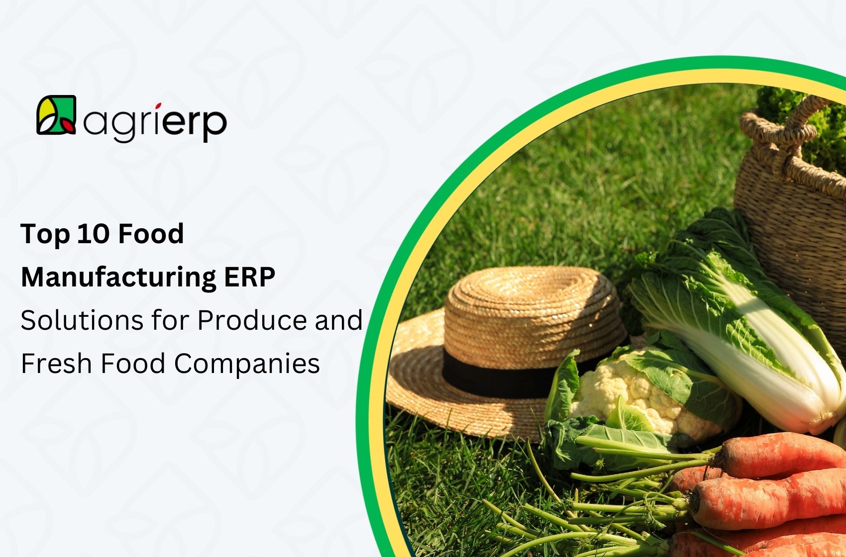 Top 10 Food Manufacturing ERP Solutions for Fresh Food Companies
