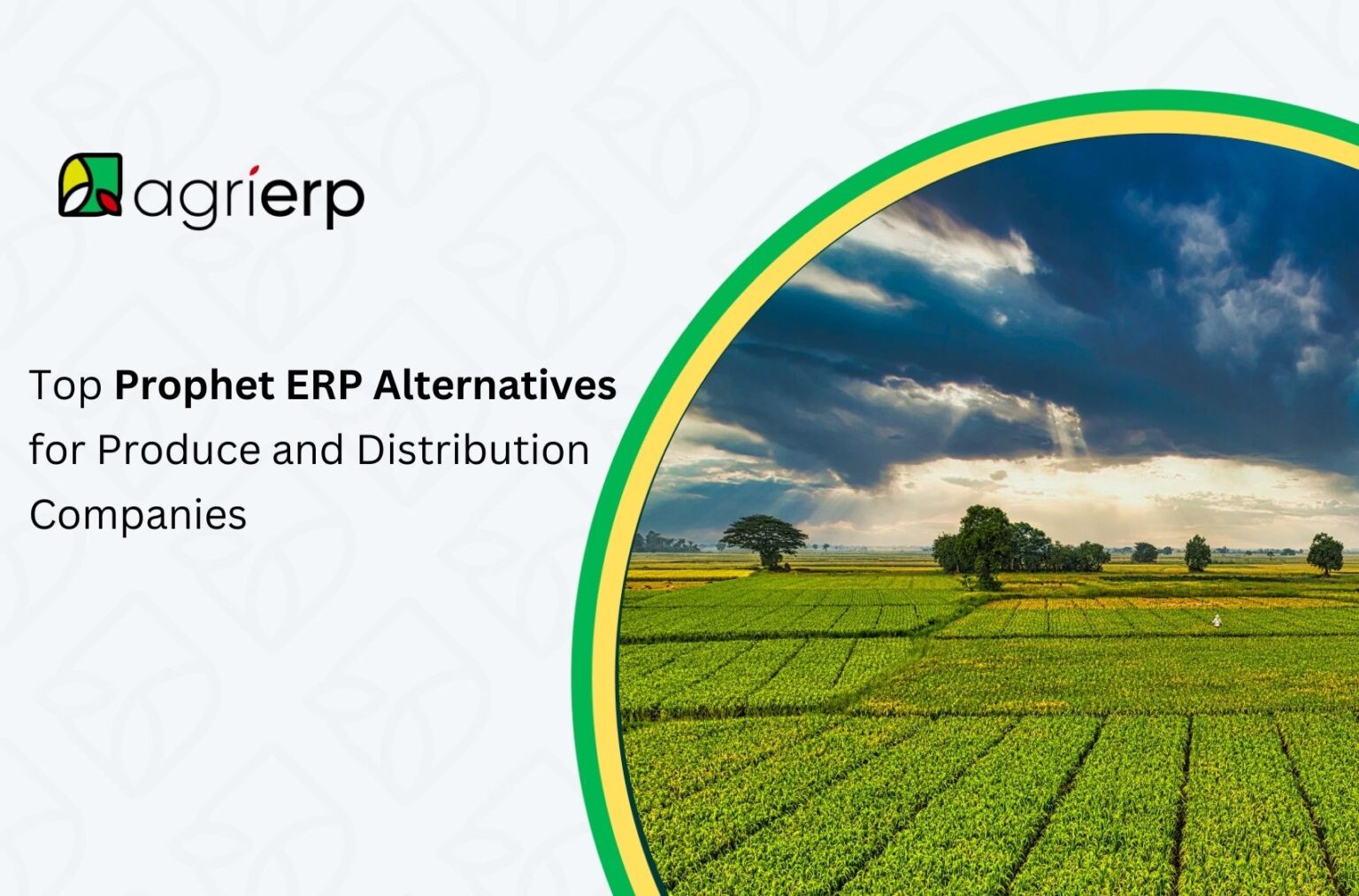 Top 12 Prophet ERP Alternatives for Produce & Distribution