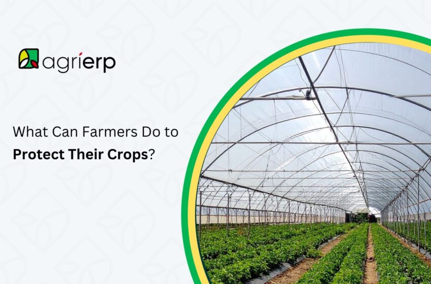 The Ultimate Guide to Crop Irrigation Systems
