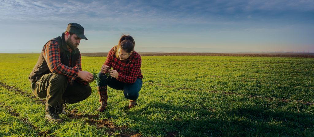 AgriERP | The Leading Farm Management Software Solution