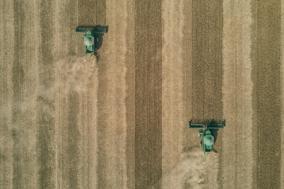 Soybean Harvest Outlook 2025 - AgriERP